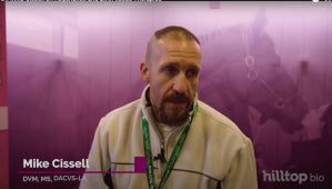 Regenaflex for Equine Dentistry, Dr. Mike Cissell – Hilltop Bio