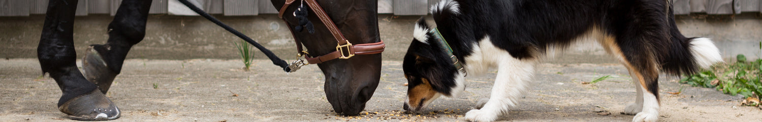 Products – Hilltop Bio