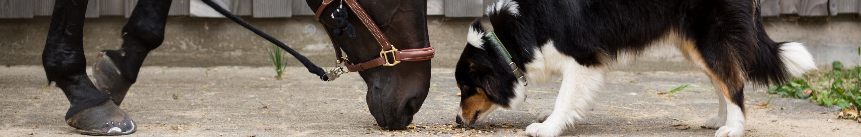 Products – Hilltop Bio